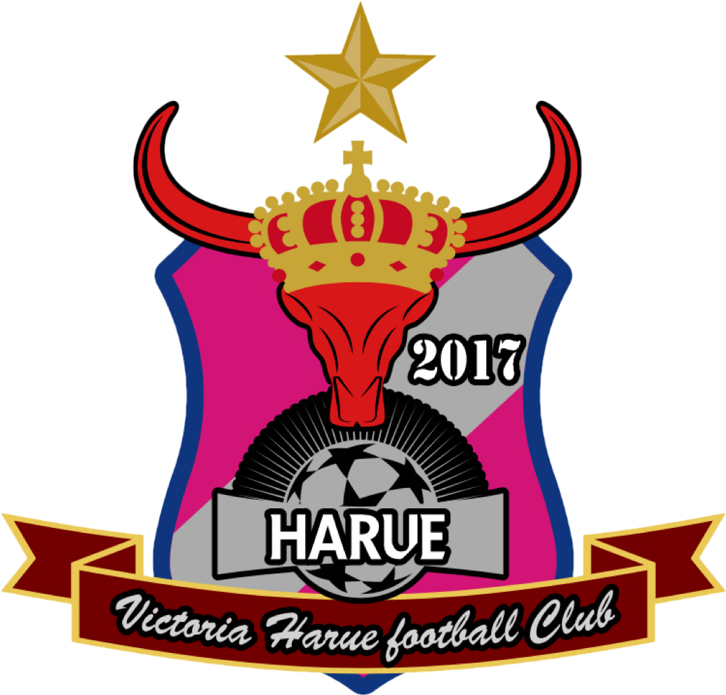 Top | ヴィクトリア春江FC